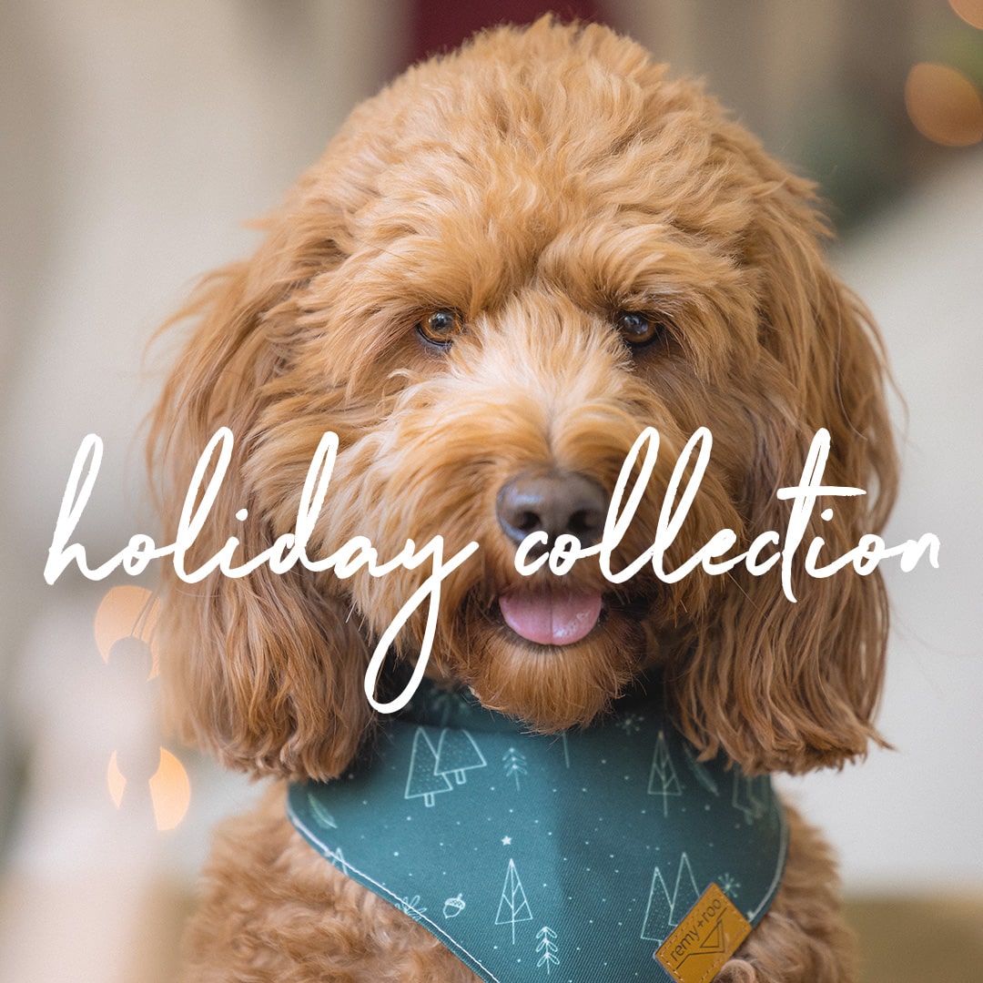 Holiday Collection – Remy+Roo