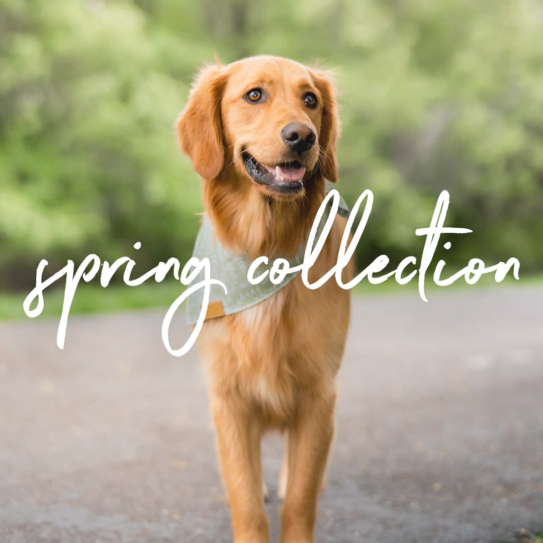 Spring Collection – Remy+Roo